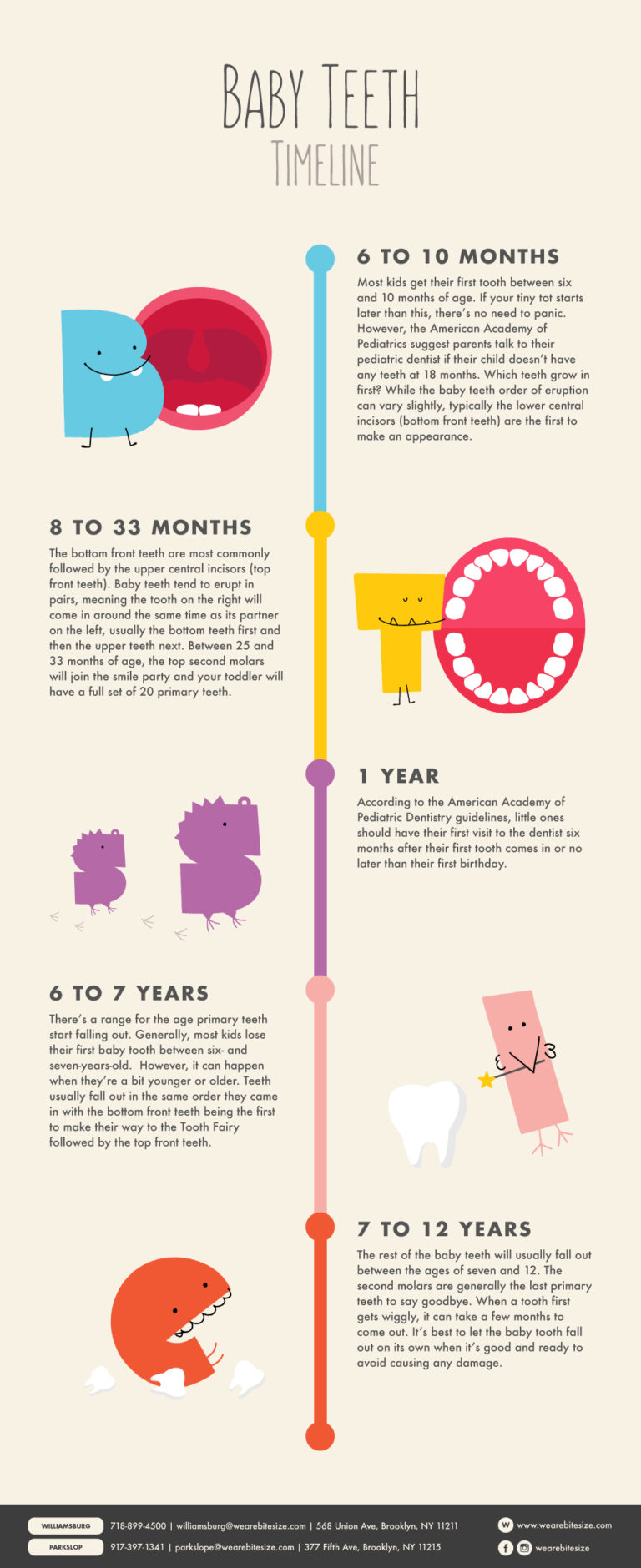 Your Child's Teeth Journey Timeline